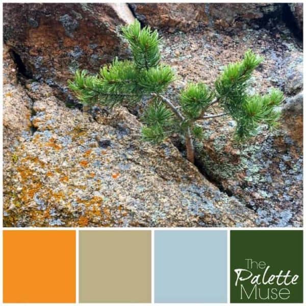 Cleft Rock Palette and Lessons from a Nature Hike - The Palette Muse