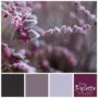 Frosty Berry Palette - The Palette Muse