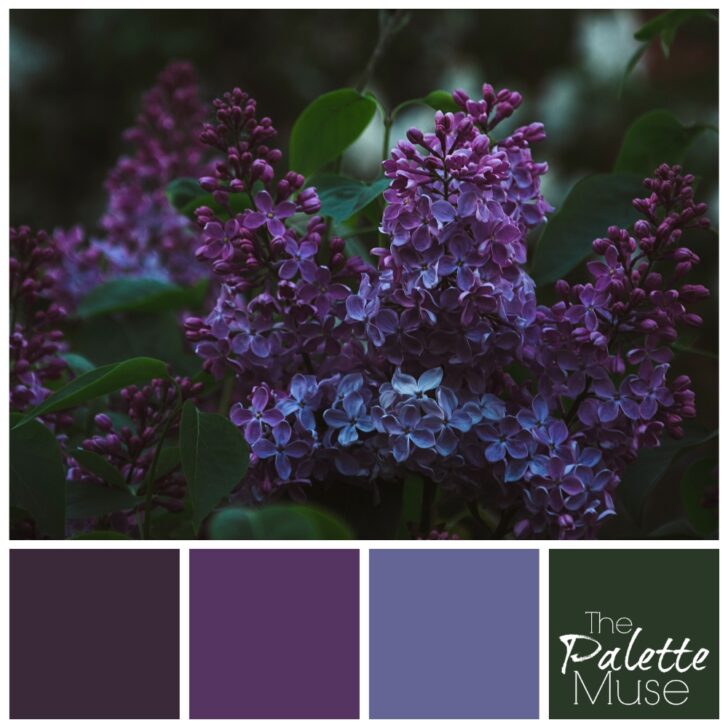 Moody Lilac Color Palette - The Palette Muse
